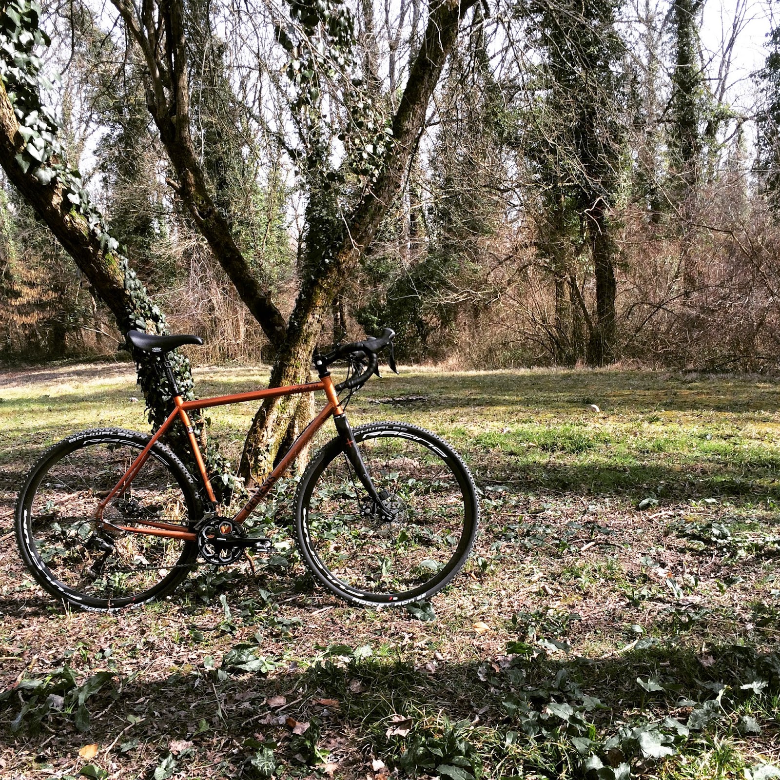 Cycles Marchi - réparateur de vélo à Lyon , spécialiste du fixie à Lyon ...