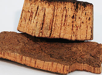 EL SURO: QUE ES EL SURO