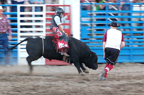 Side Trips: 7/3/11 - 7/10/11