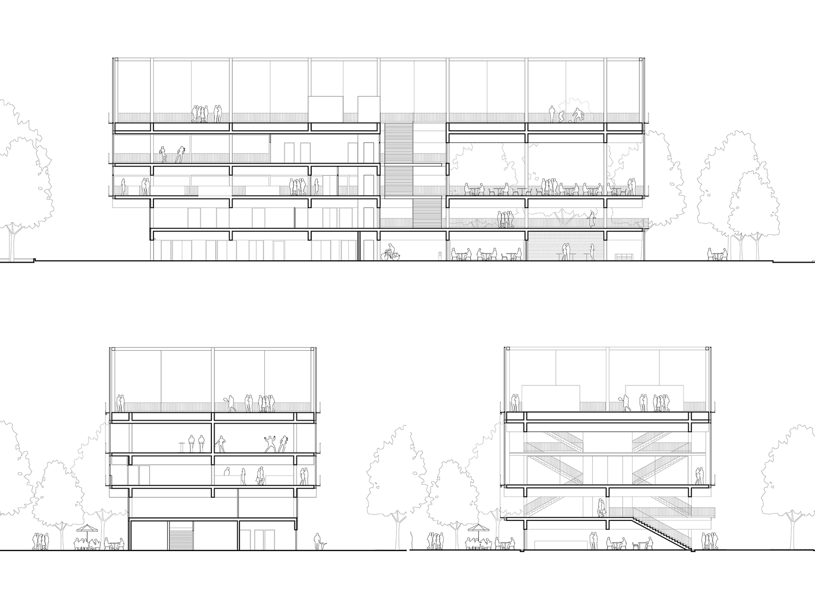 Muoto – a f a s i a