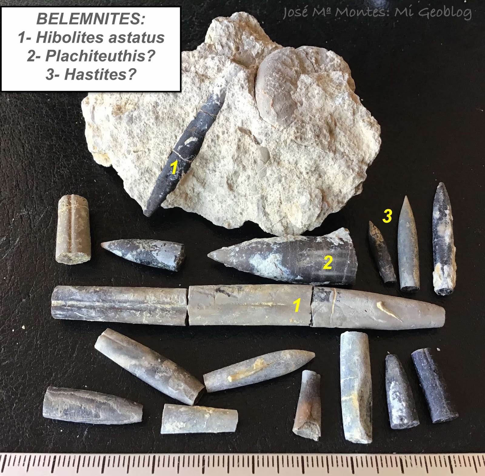 Mi Geoblog: Geologia y más: enero 2020