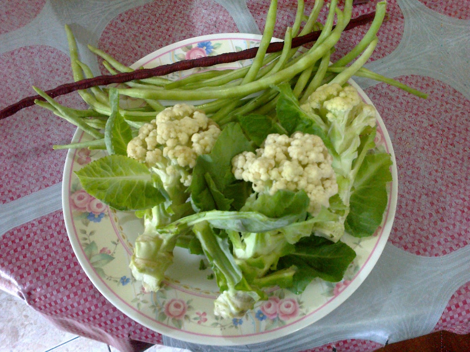 cik azz: Masakan hasil dari kebun mini.