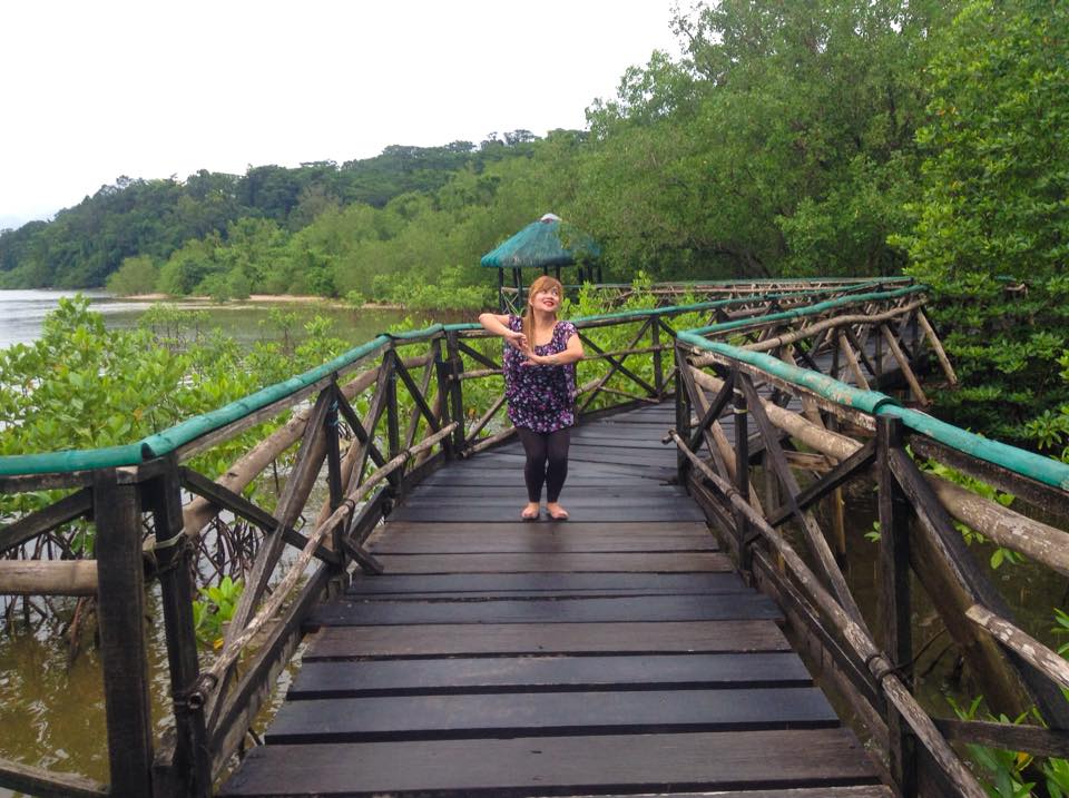 The Inquisitive Explorer: Triboa Bay Mangrove Park