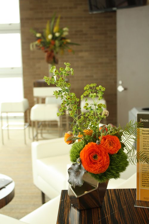 crosspollination: flowers for a cellist