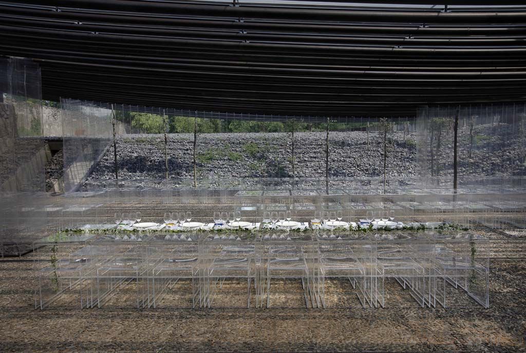 20 RCR – a f a s i a