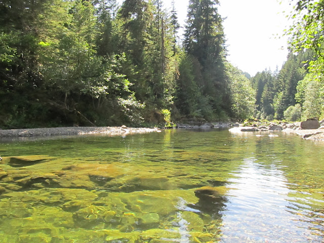 The Closet Hippo: Camping at Yellow Bottom on Quartzville Creek
