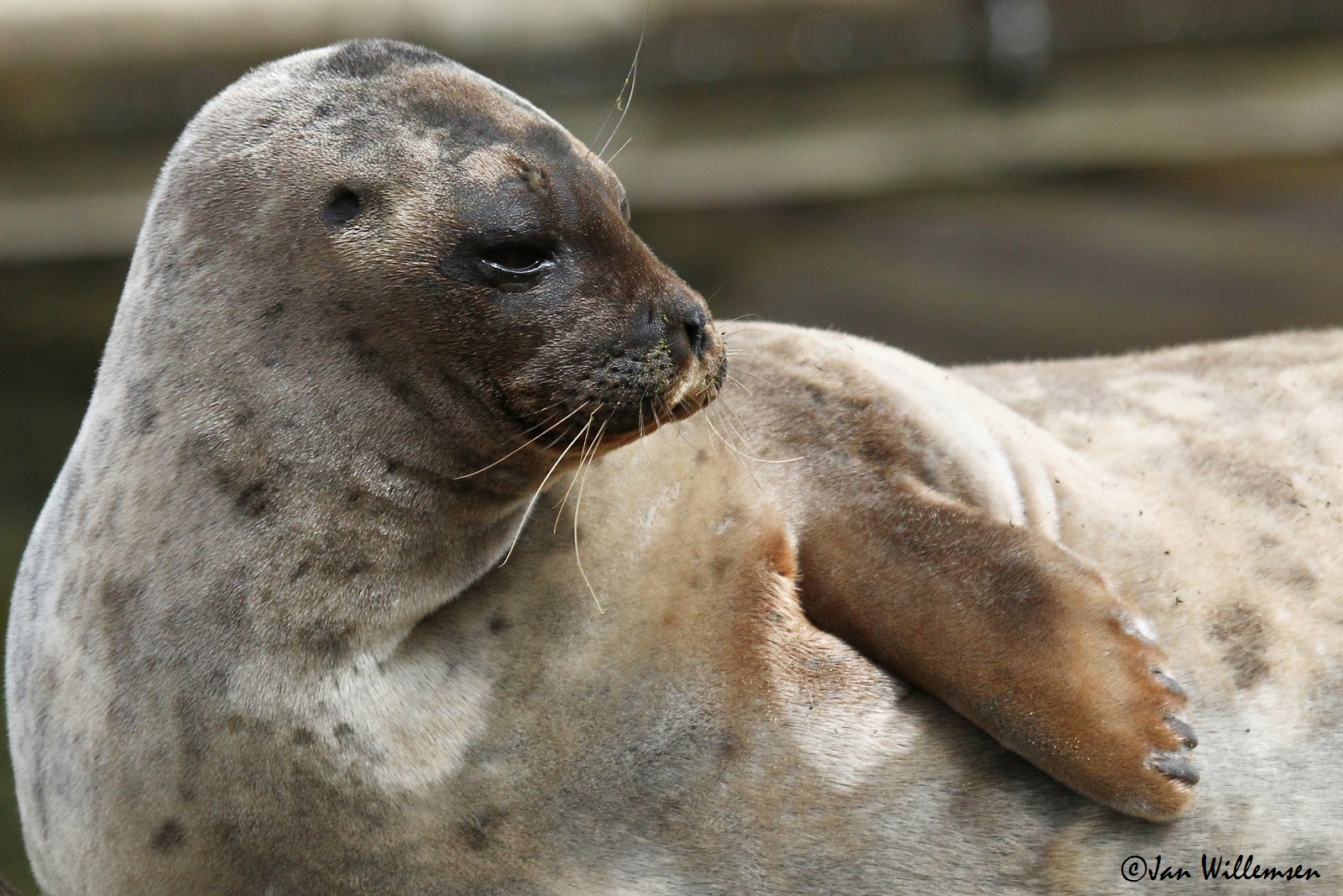 Jan Willemsen Fotografie: Burgers Zoo Arnhem