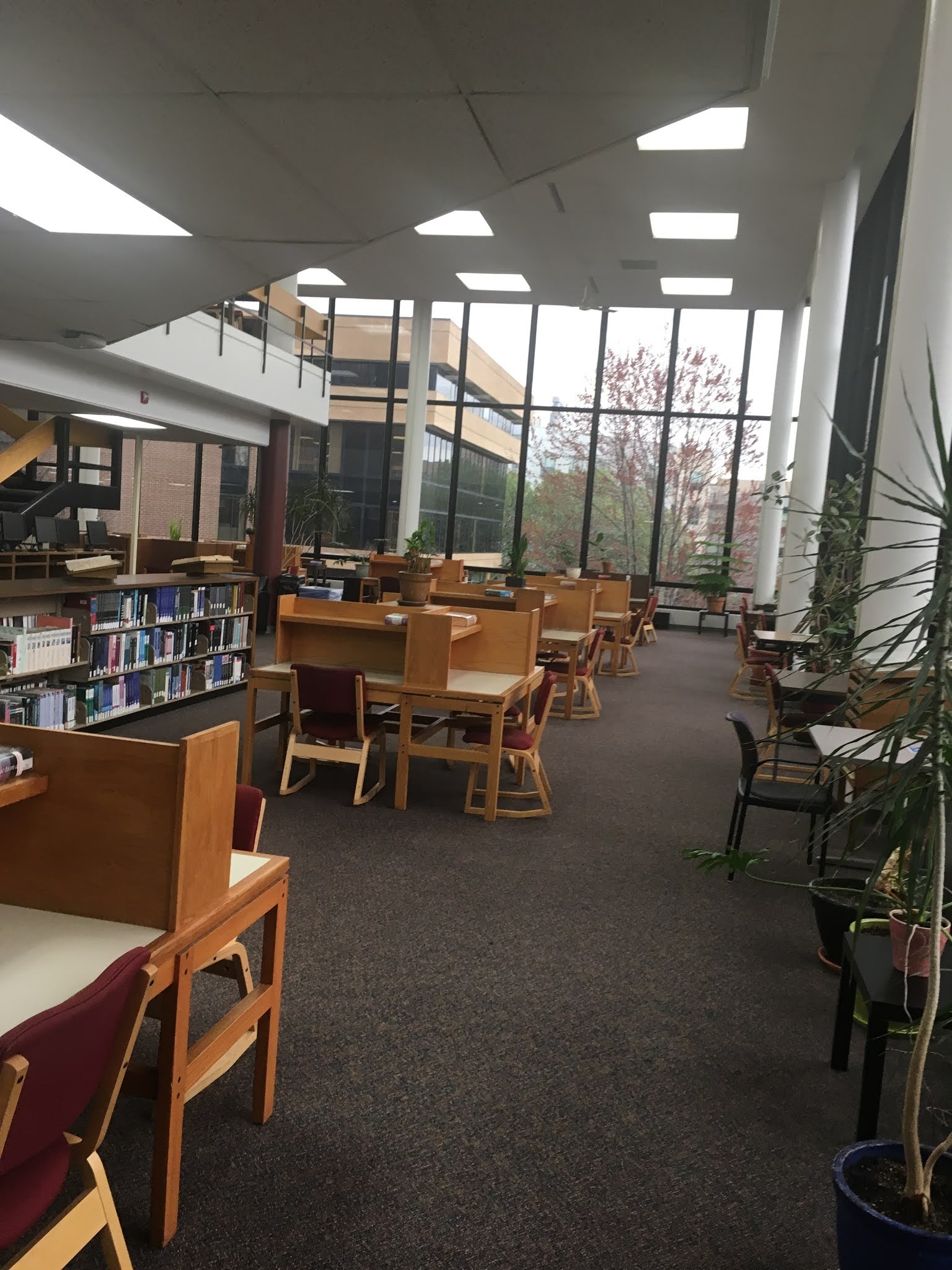YOUR Alexandria Campus Library