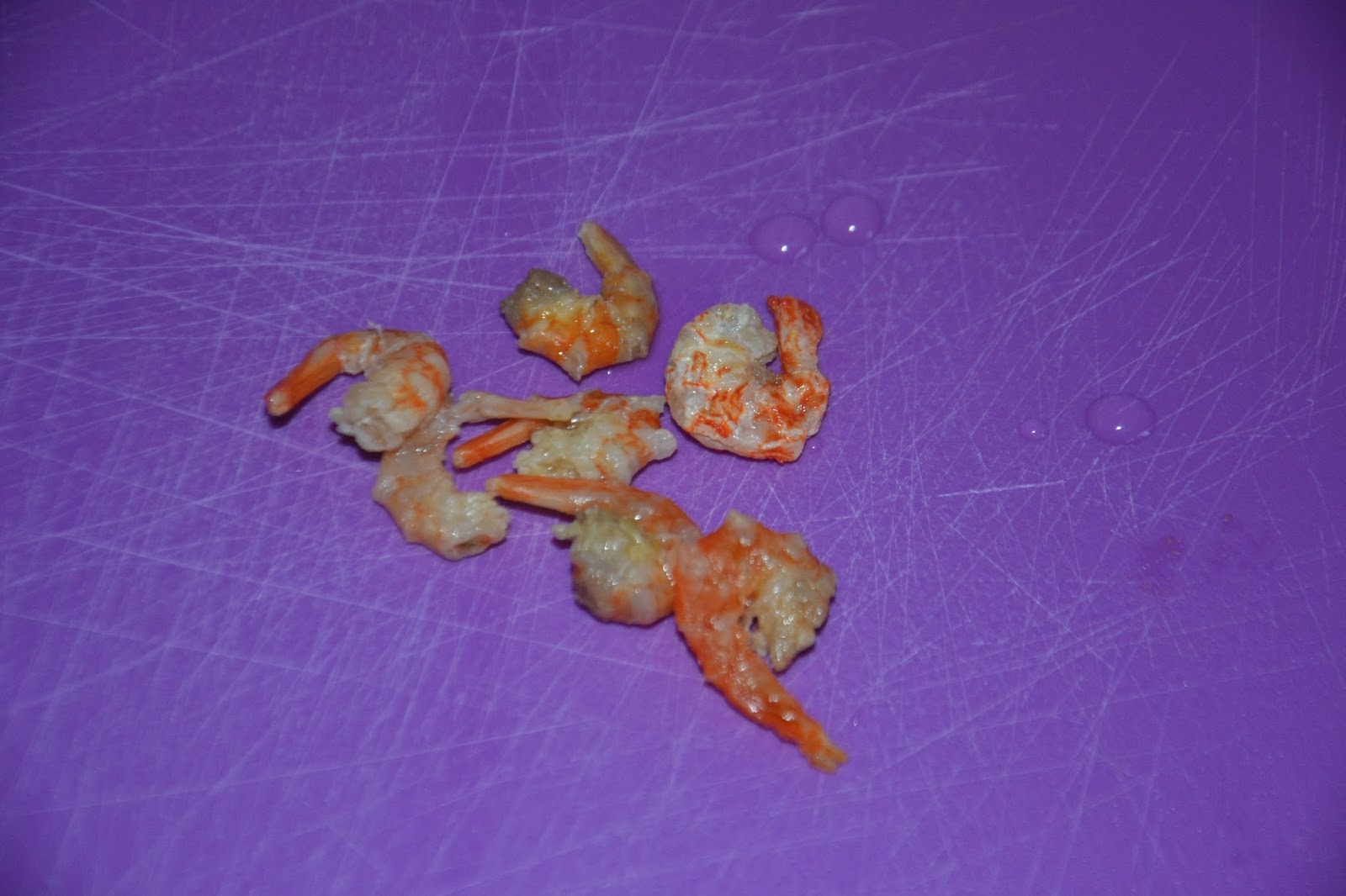 Oppdag Fisk!: Greasyback Shrimp/Metapenaeus Ensis (Saltvann)