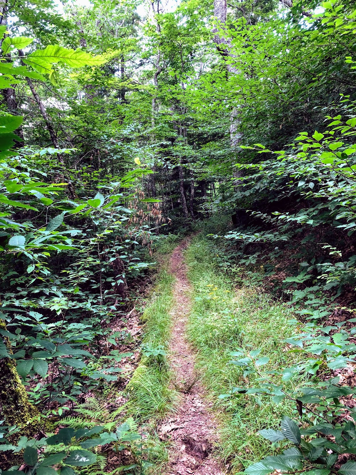 900 miles: Kanati Fork - Thomas Divide Trails