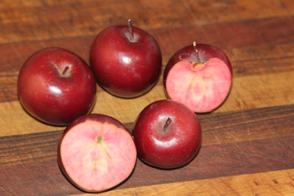 Mudflower: Red Fleshed Apples Australia