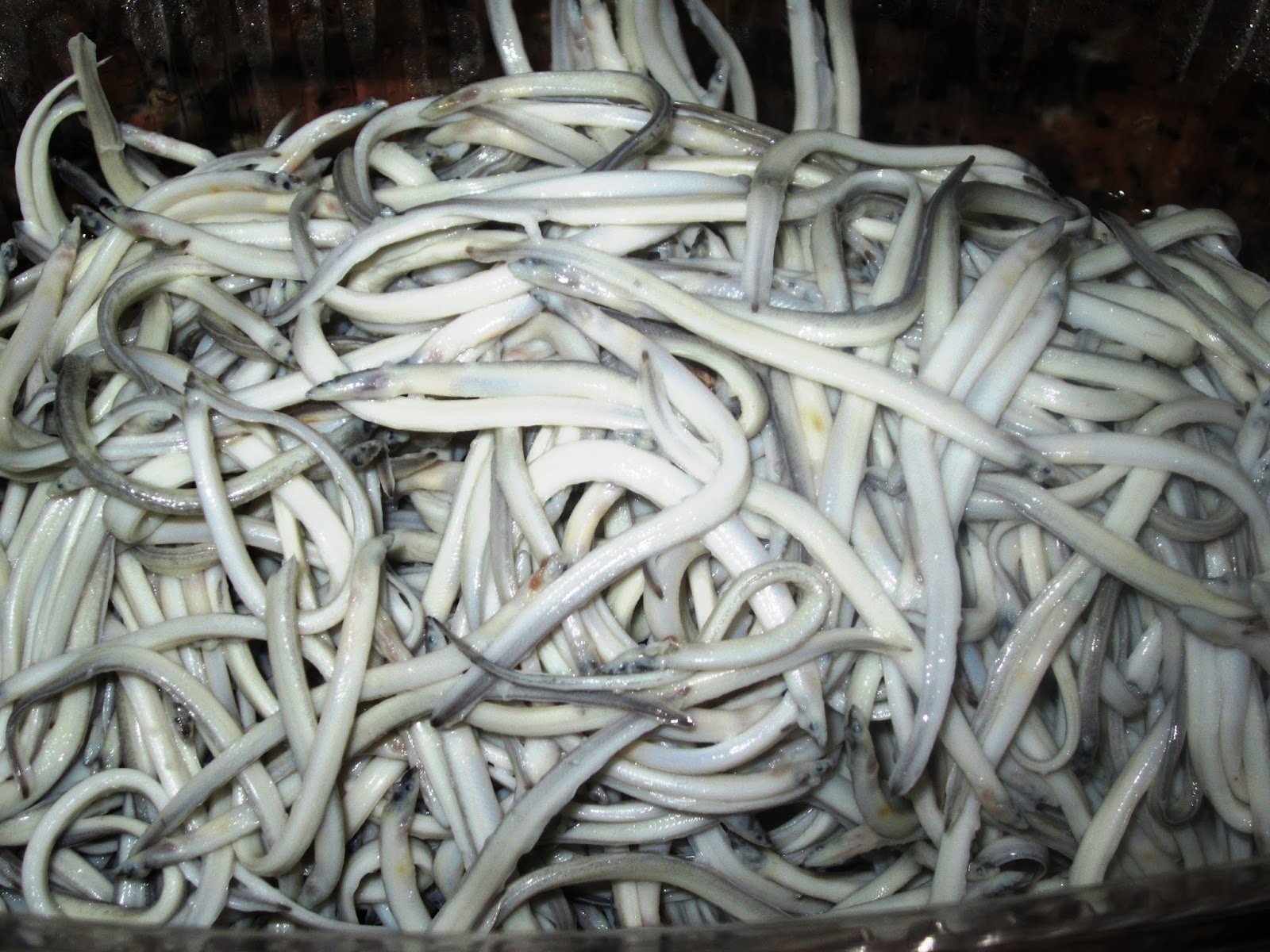 El rincón de Mundín: FIESTA DE LA ANGULA XXXI EDICIÓN: SOTO DEL BARCO ...