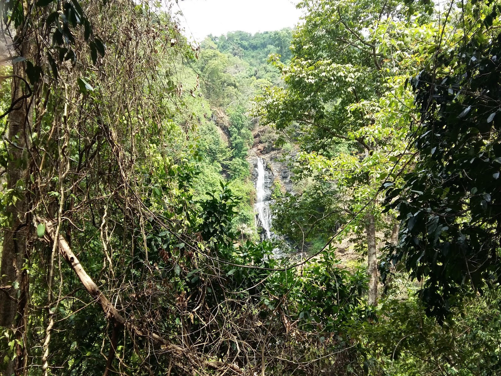 Explore Goa : Travel Goa with BBConRent: Waterfalls in Goa : Savri ...