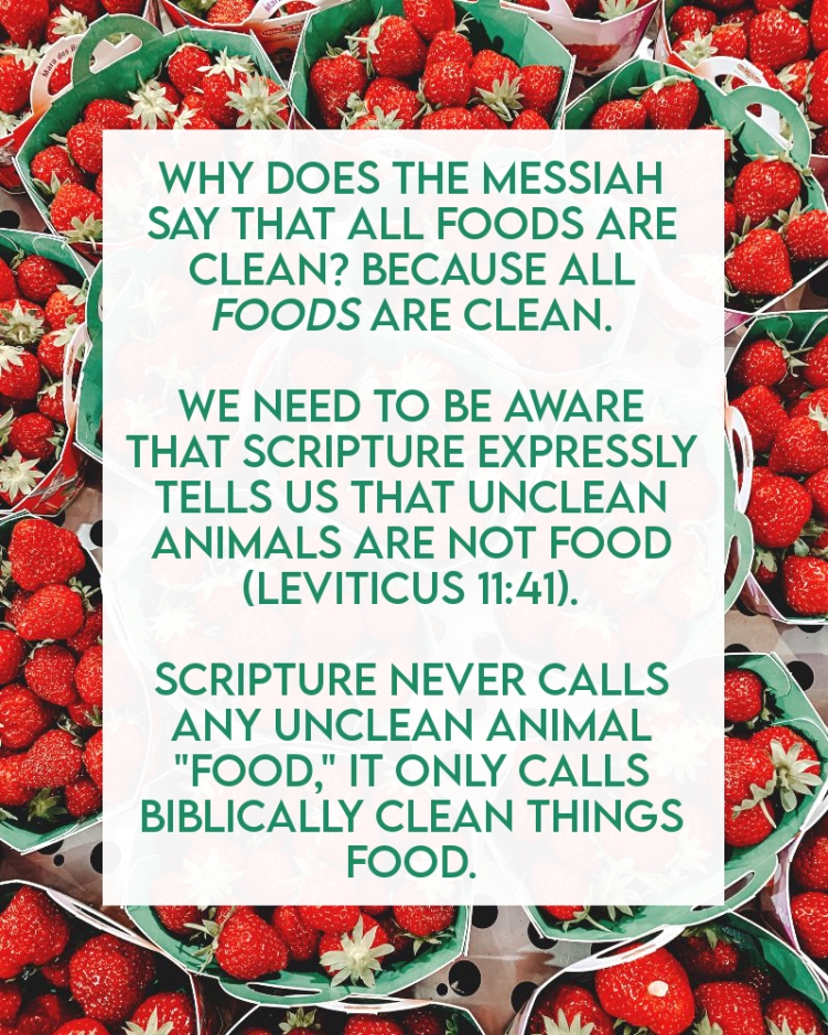 land of honey: Understanding Mark 7:19 and the Messiah Declaring All ...