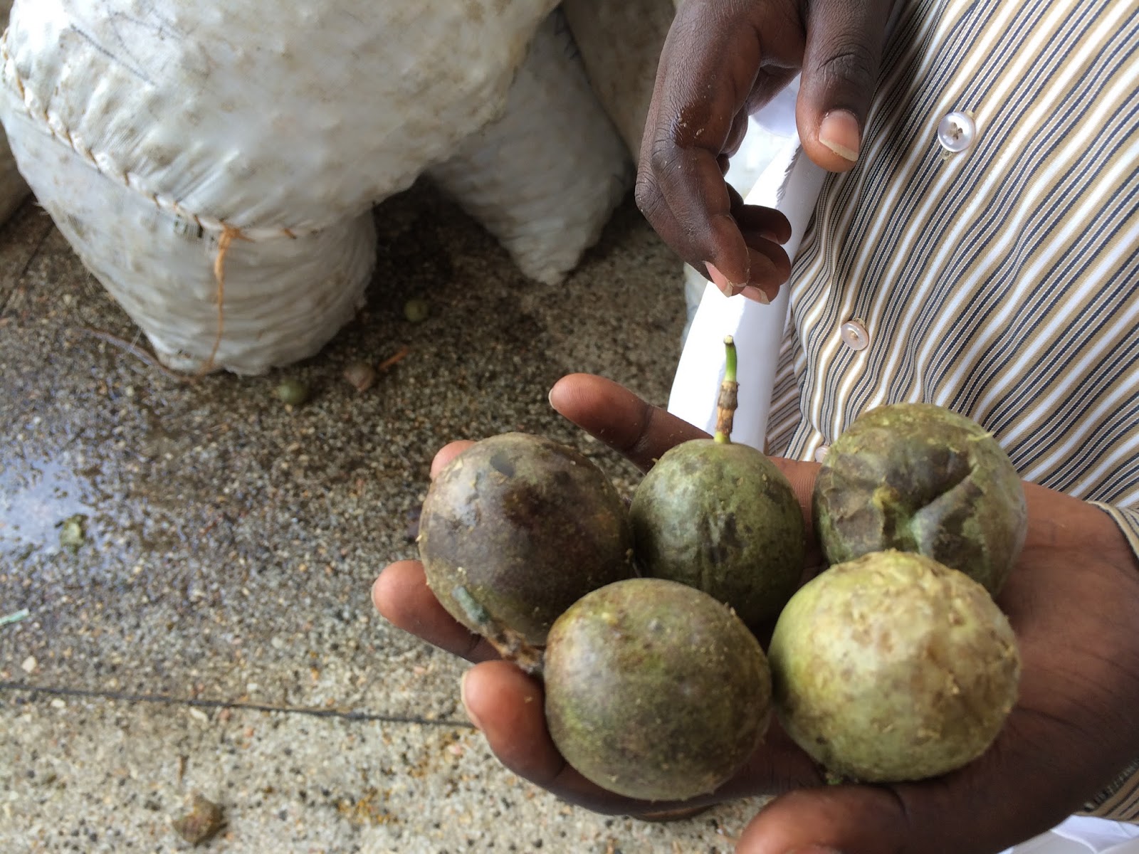Lebensmitteltechnologie - Studentenalltag: Praktikum in Ruanda: Passion ...