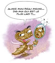 Comment ça se dit en français?: fier comme un pou