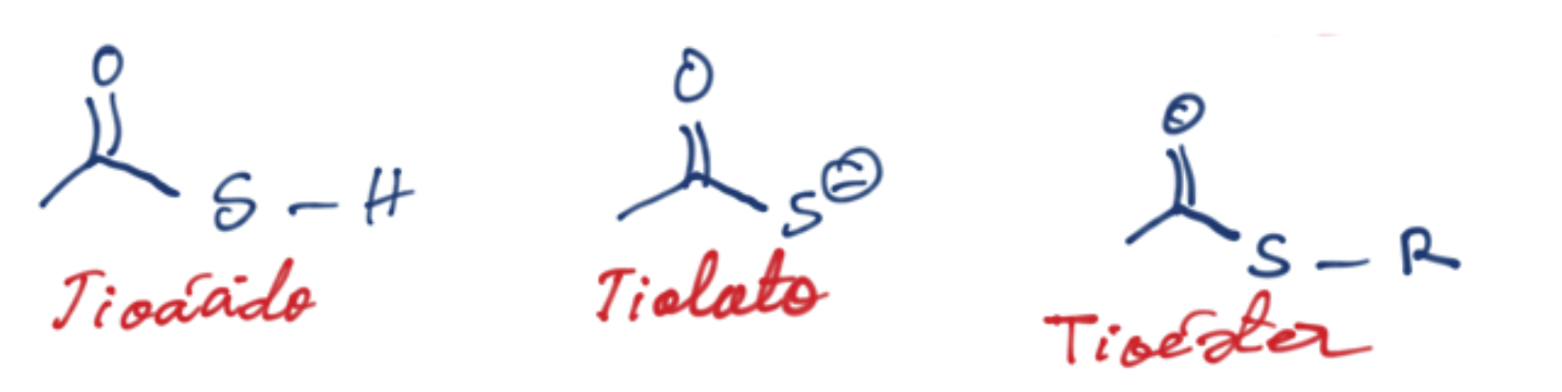 Bienvenidos a Descubrir La Química : ÉTER, ÉSTER, TIOÉTER Y TIOÉSTER