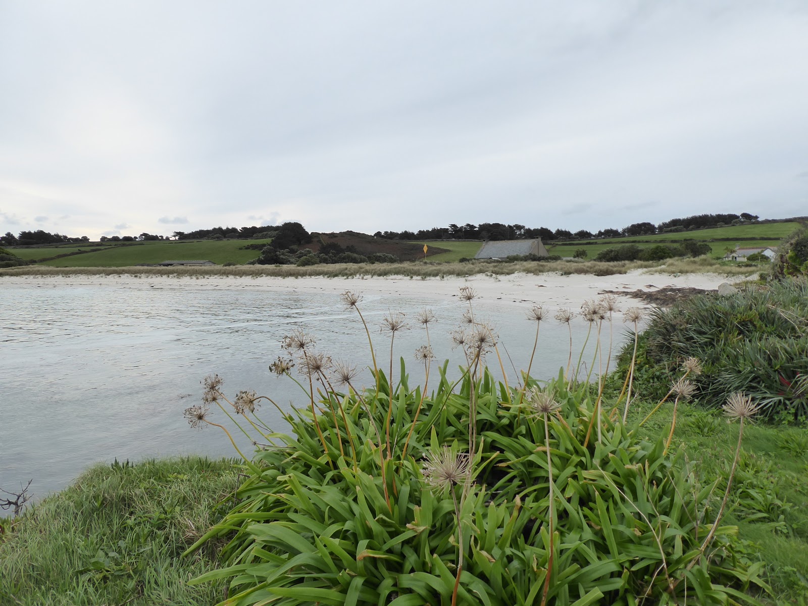 My antidote to the midweek blahs - colour therapy and beach walks ...