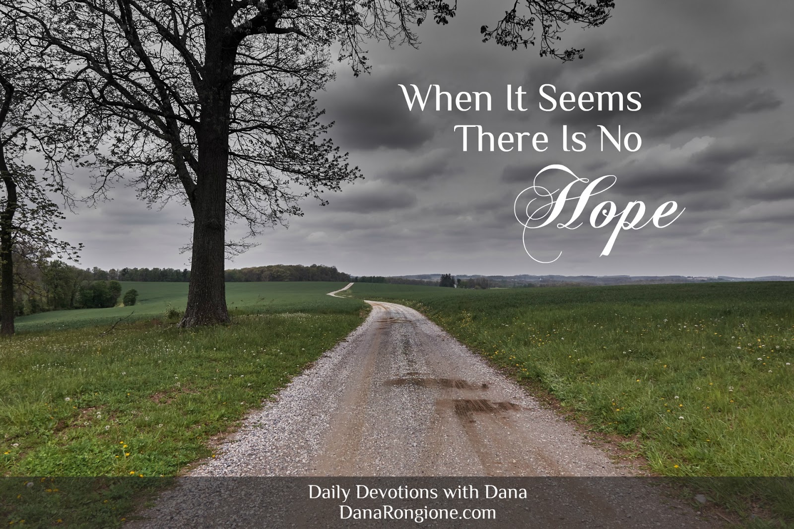 A Word Fitly Spoken When It Seems There Is No Hope a-word-fitly-spoken-when-it-seems-there-is-no-hope