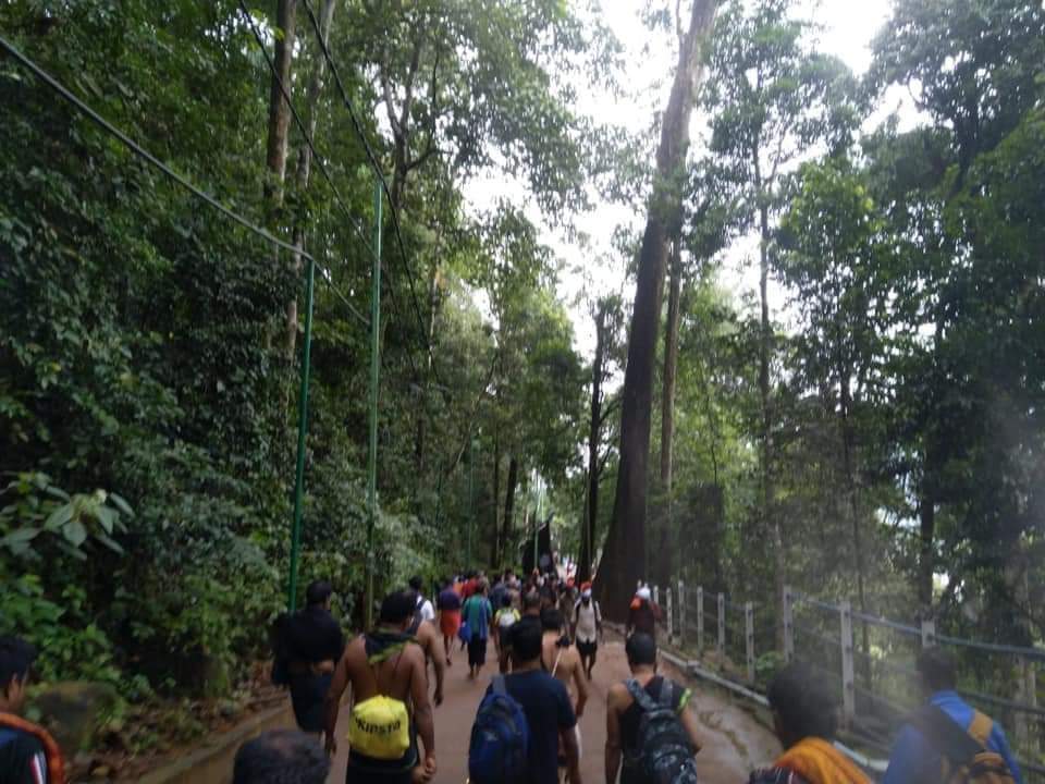 Sabarimala Temple Forest