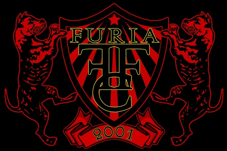 FURIA FUTEBOL CLUB: CAMPEÃO (COPA NEDI BRUM) CAMPEONATO DA VARZEA