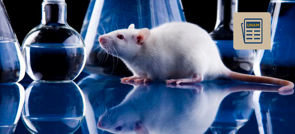 Tipos de Experimentación y Explotación Animal