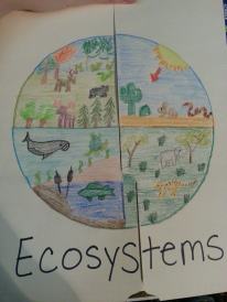 Teaching the Love of Learning: Ecosystems Lapbook