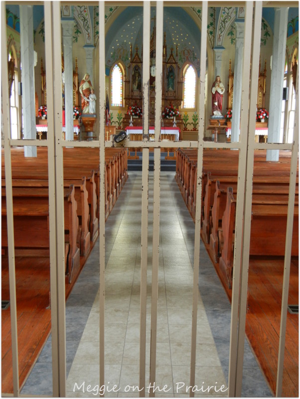 Meggie On The Prairie: The Continuing Story of Dubina