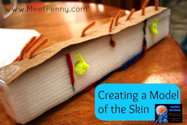 Science Fair 2014: Junior School