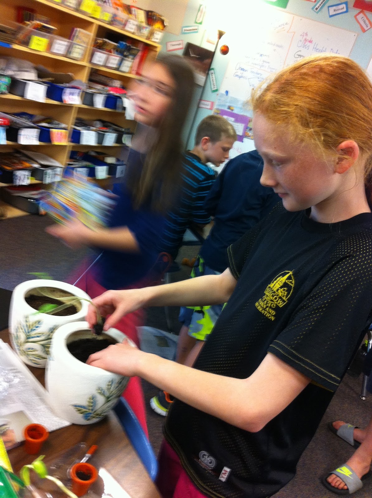 MCS 4th Grade 2014-2015: There was great success in applying science ...