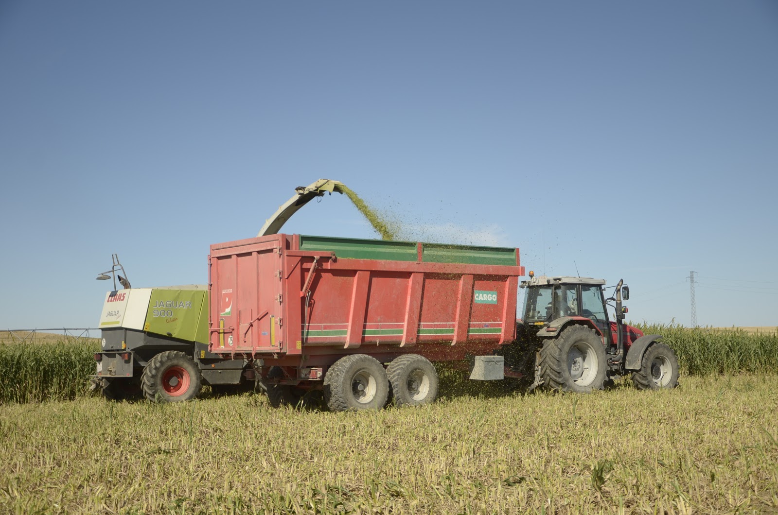 Ensiling Sorghum: chopping, transport and pressing