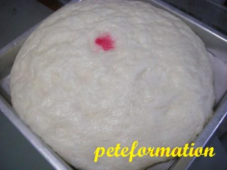 PeteFormation Foodie Adventure: Mi Ku (Plain Tortoise Bun) for ...