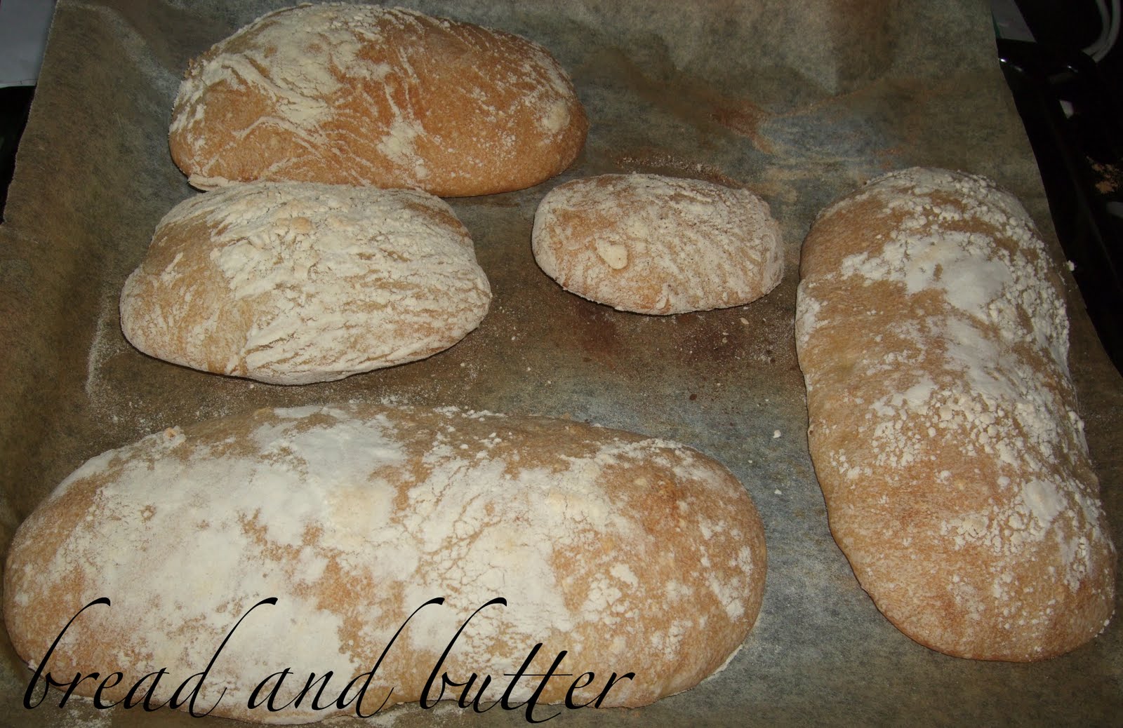 Bread and Butter....: Ciabatta bread!!!!