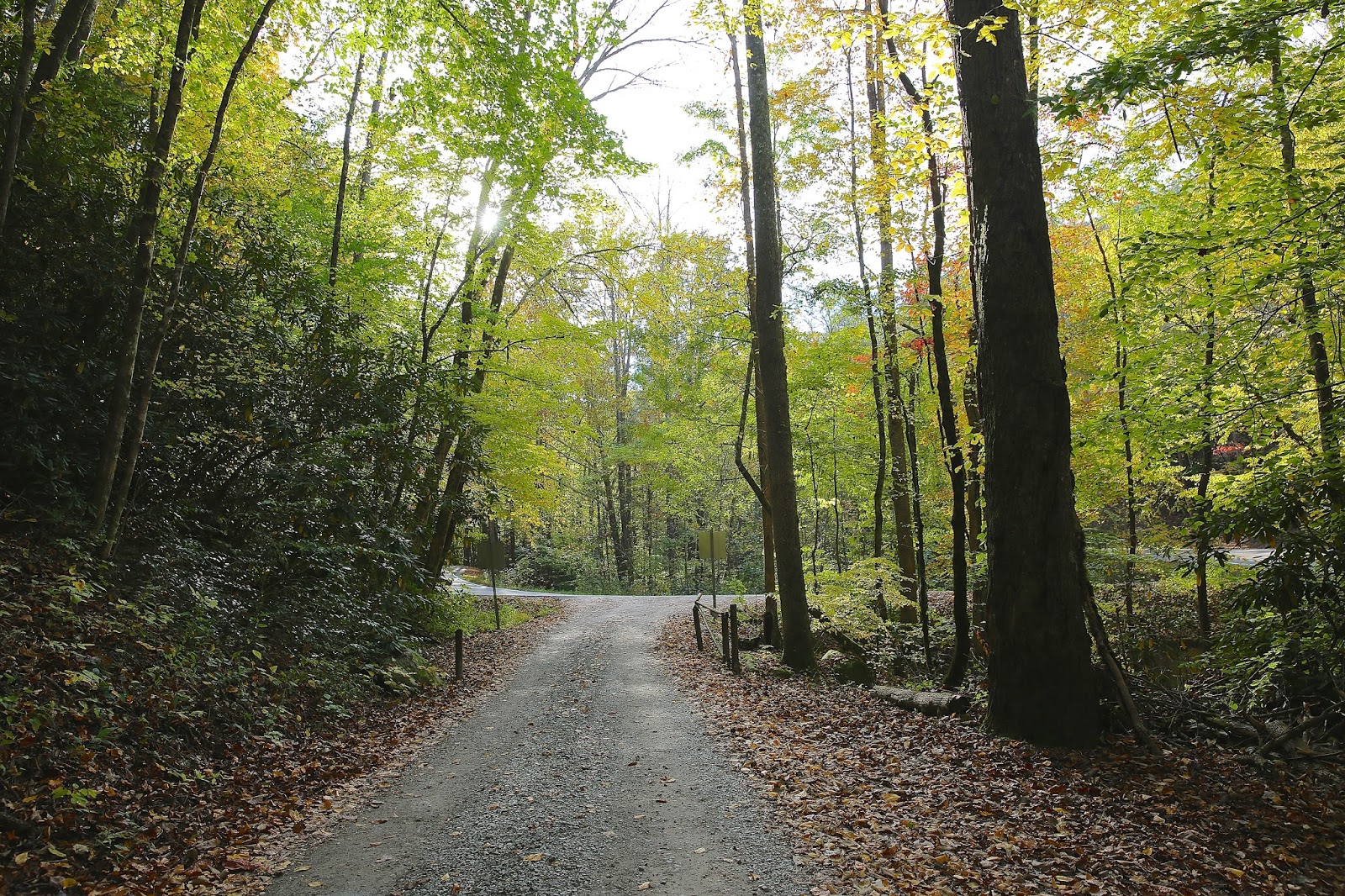 Sweet Southern Days: Parson Branch Road In The Great Smoky Mountains ...