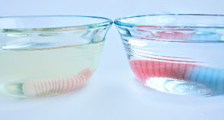 Candy Experiments: 3 Great Gummy Worm Science Experiments