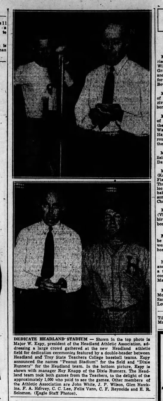 Tomfoolery: Headland Dixie Runners