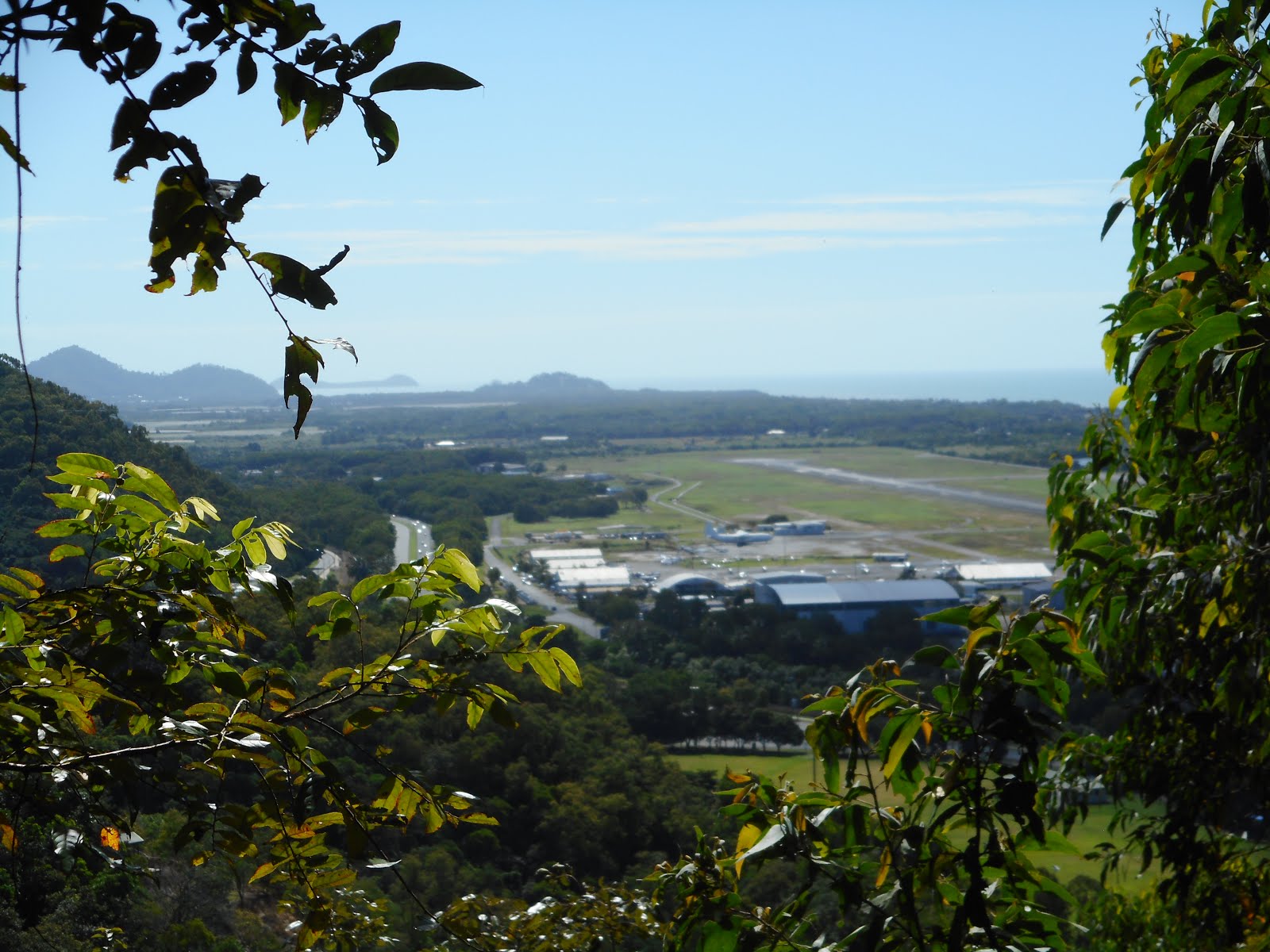 Phil's Bushwalking Blog: Cairns Region: Mount Whitfield Conservation Park