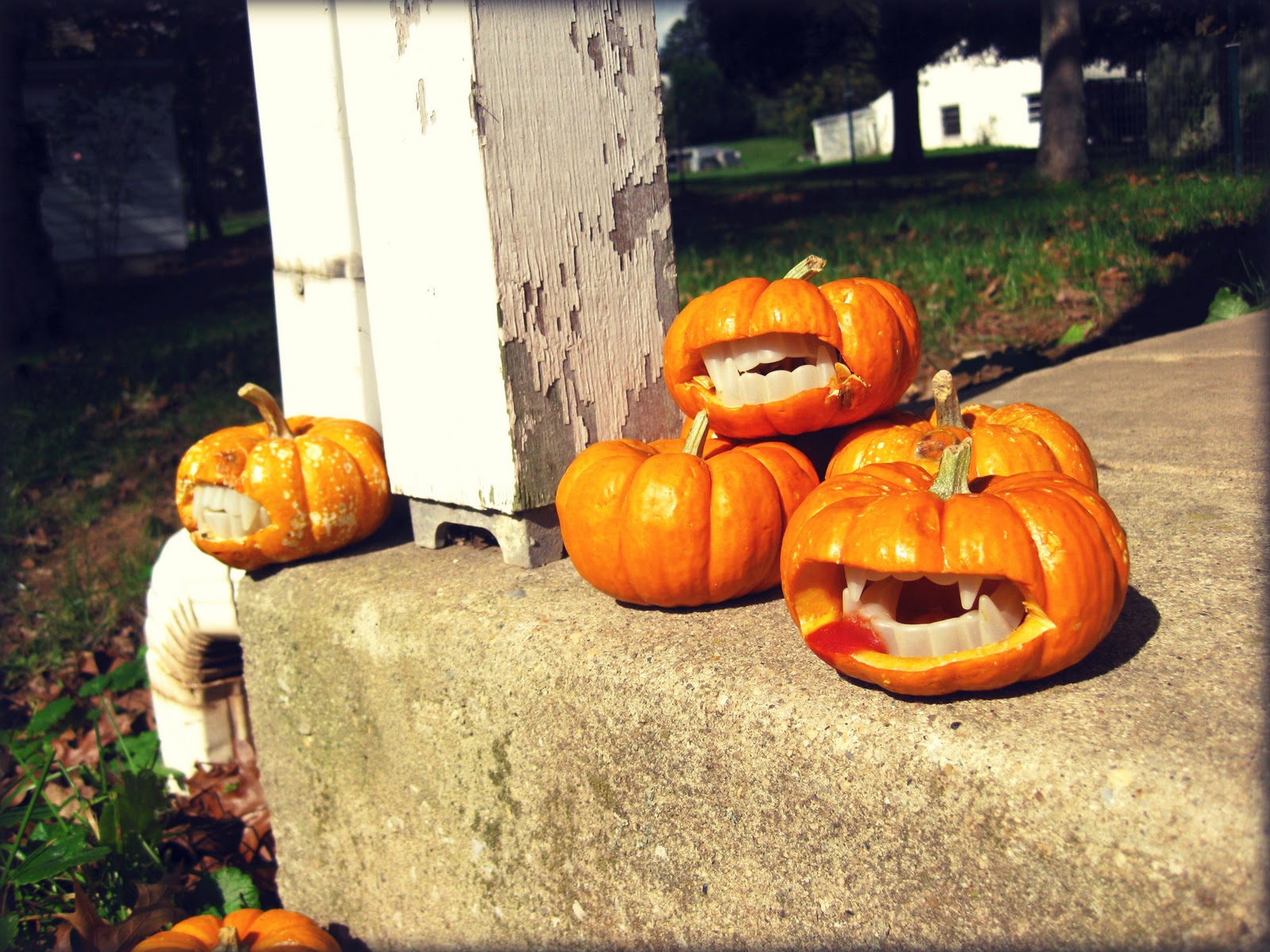 nova by tess ~ the busy life of one crazy swede: an army of angry pumpkins