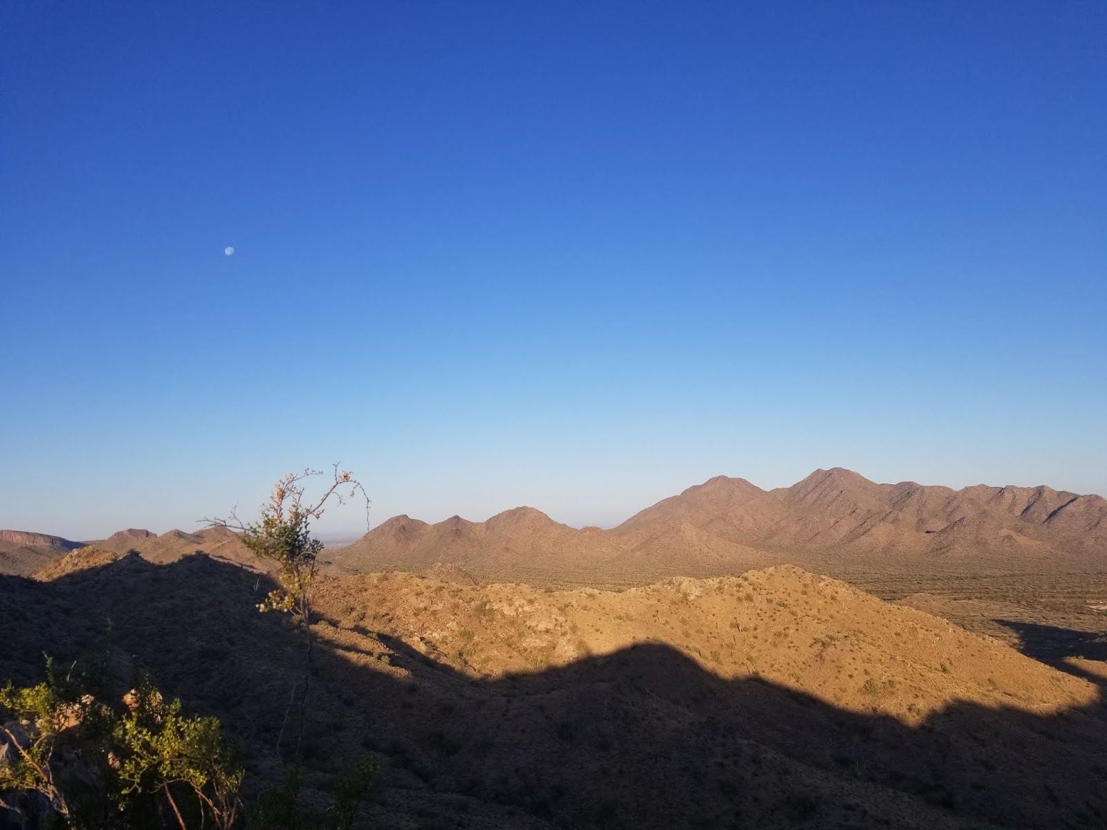 Hermana Angela Mamani