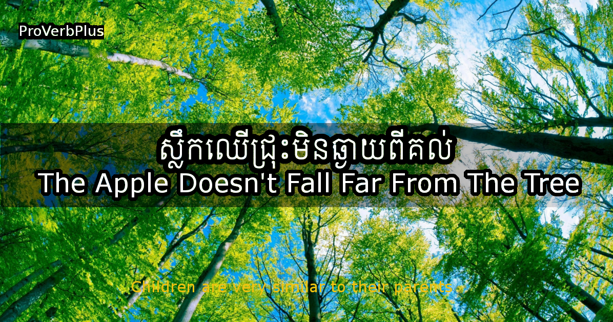 38. The apple doesn't fall far from the tree - Proverb 50 Plus English ...