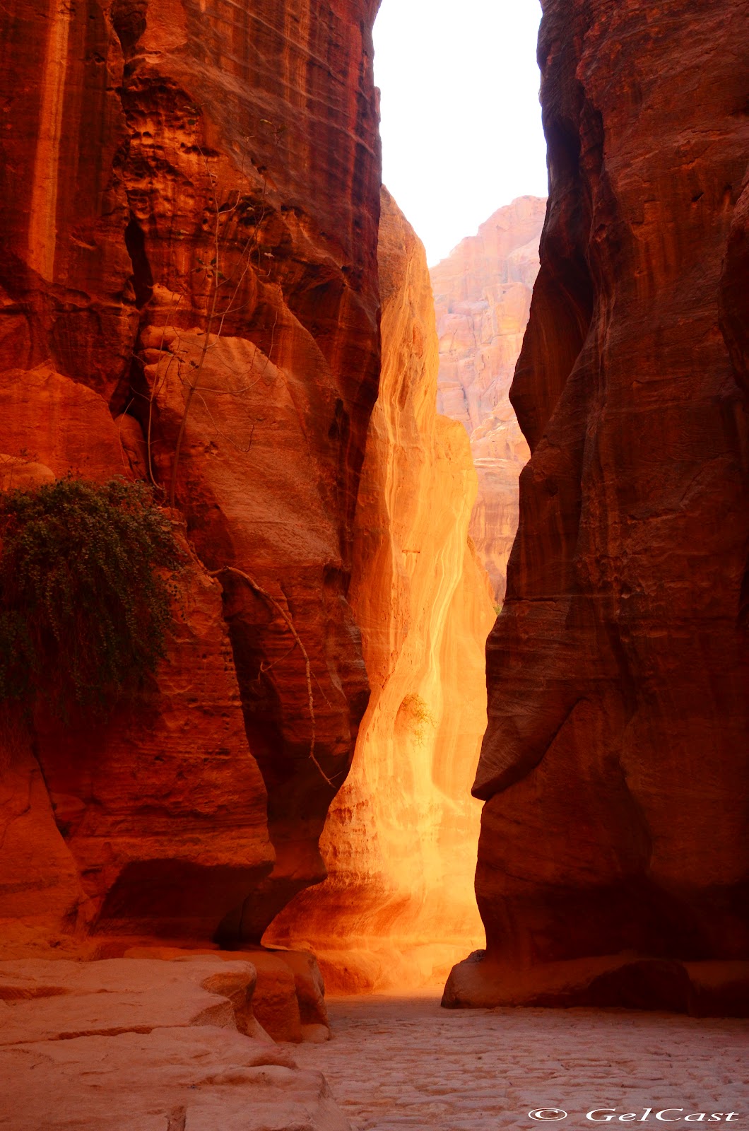 Wildlights : Petra Jordan landforms