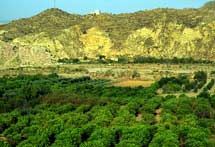 Almeria Turistica.: Arboleas-Almeria.