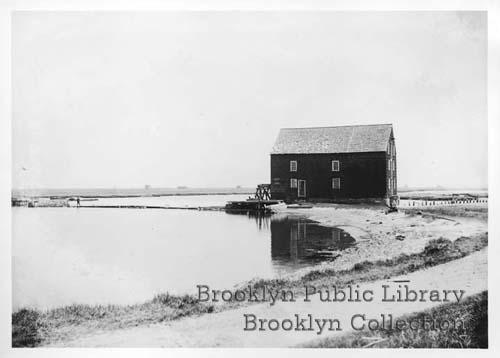 nyc edges: Salt Marsh Nature Center (Brooklyn)