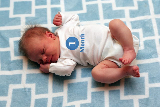 The Mog Blog: One Month