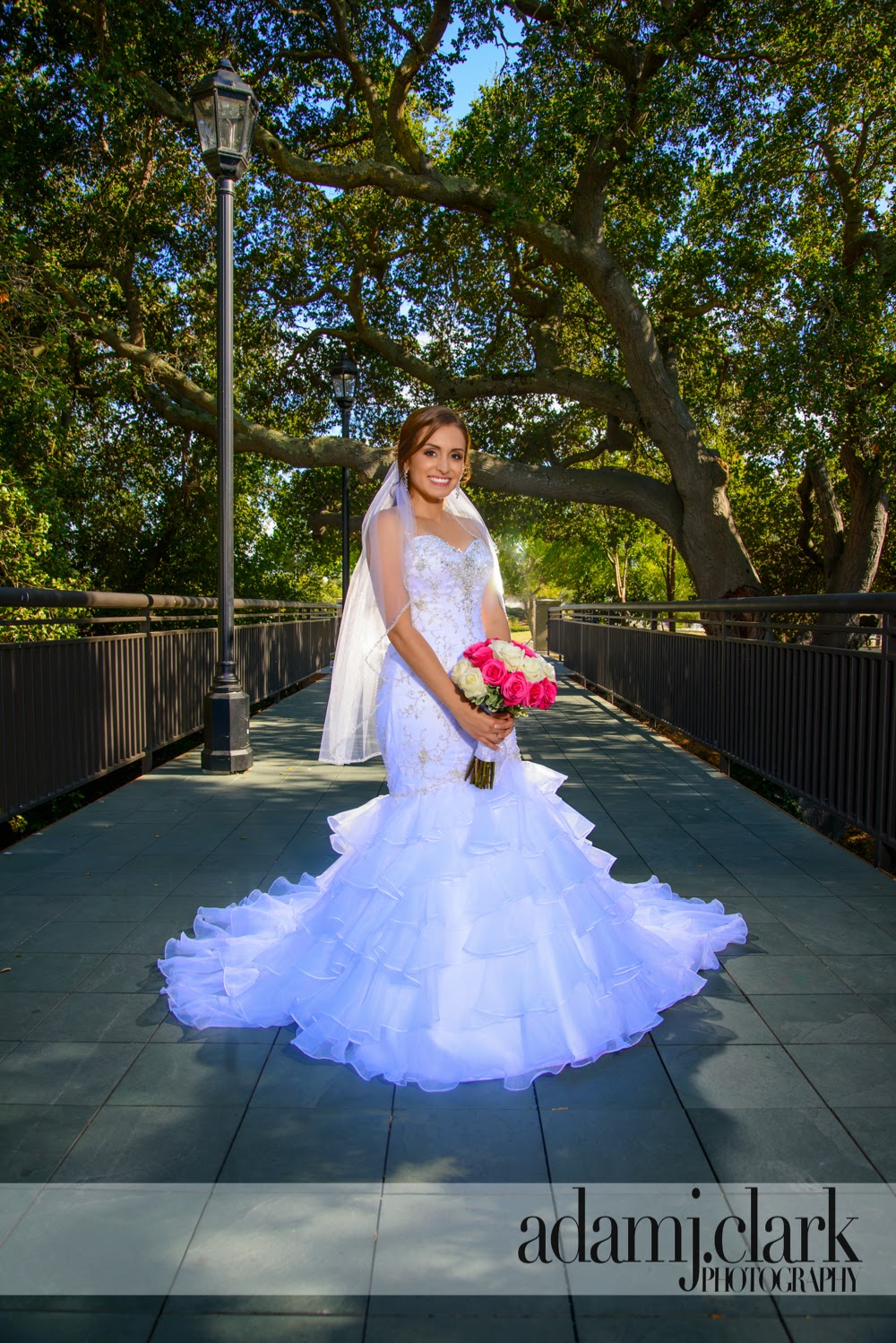 Adam J Clark Photography: Lance & Janet Sneak Peeks, All Saints ...