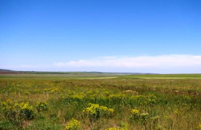 Slavic Landscapes: The Steppes (9)