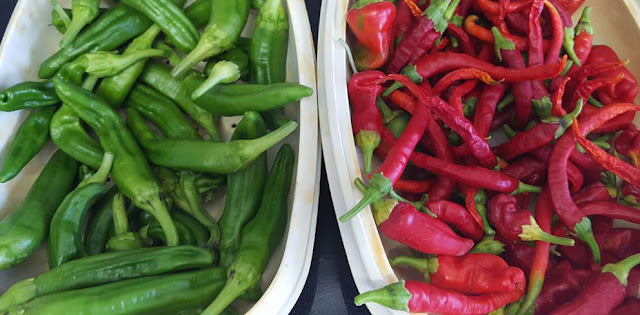 - Salmorrejo -: Consejos para conservar guindillas rojas todo el año