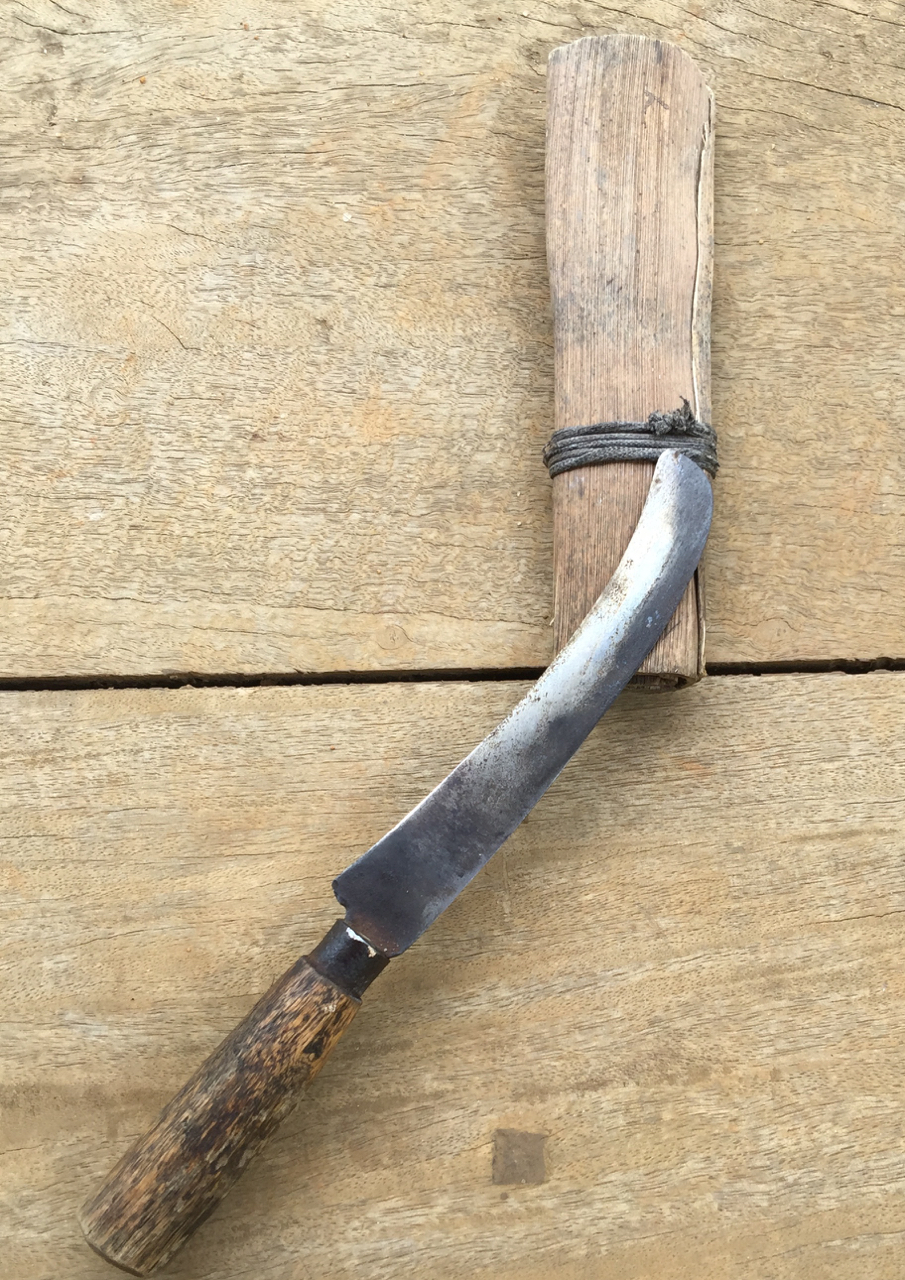 Learning to Live Peace: Tapping Kithul Palm