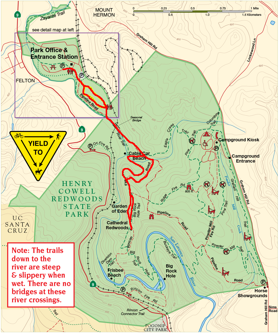 Hiking Metal Maniac: Henry Cowell Redwoods