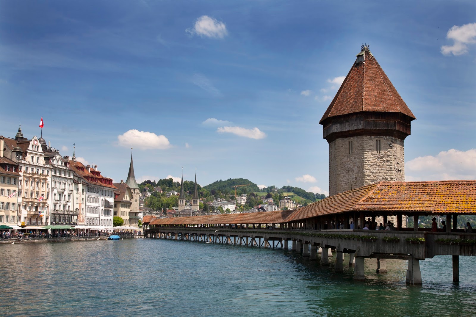 xakelaphoto: Luzerna